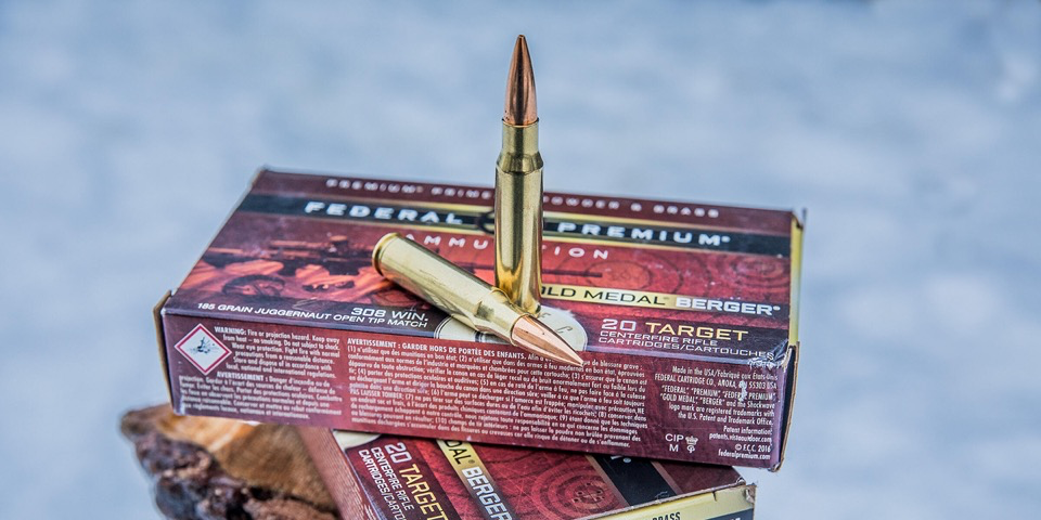 10 Best Moose Hunting Cartridges of All Time