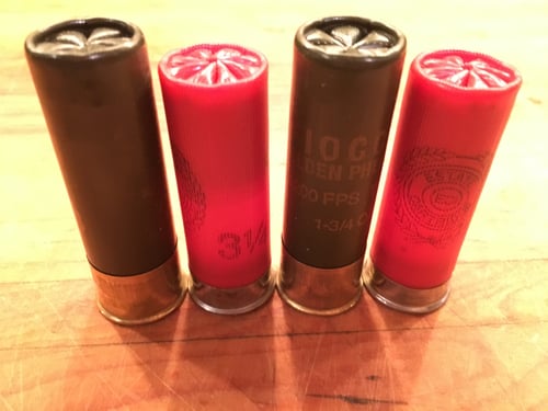 Bird Hunting Ammo: A Quick Guide