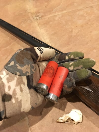 Bird Hunting Ammo: A Quick Guide