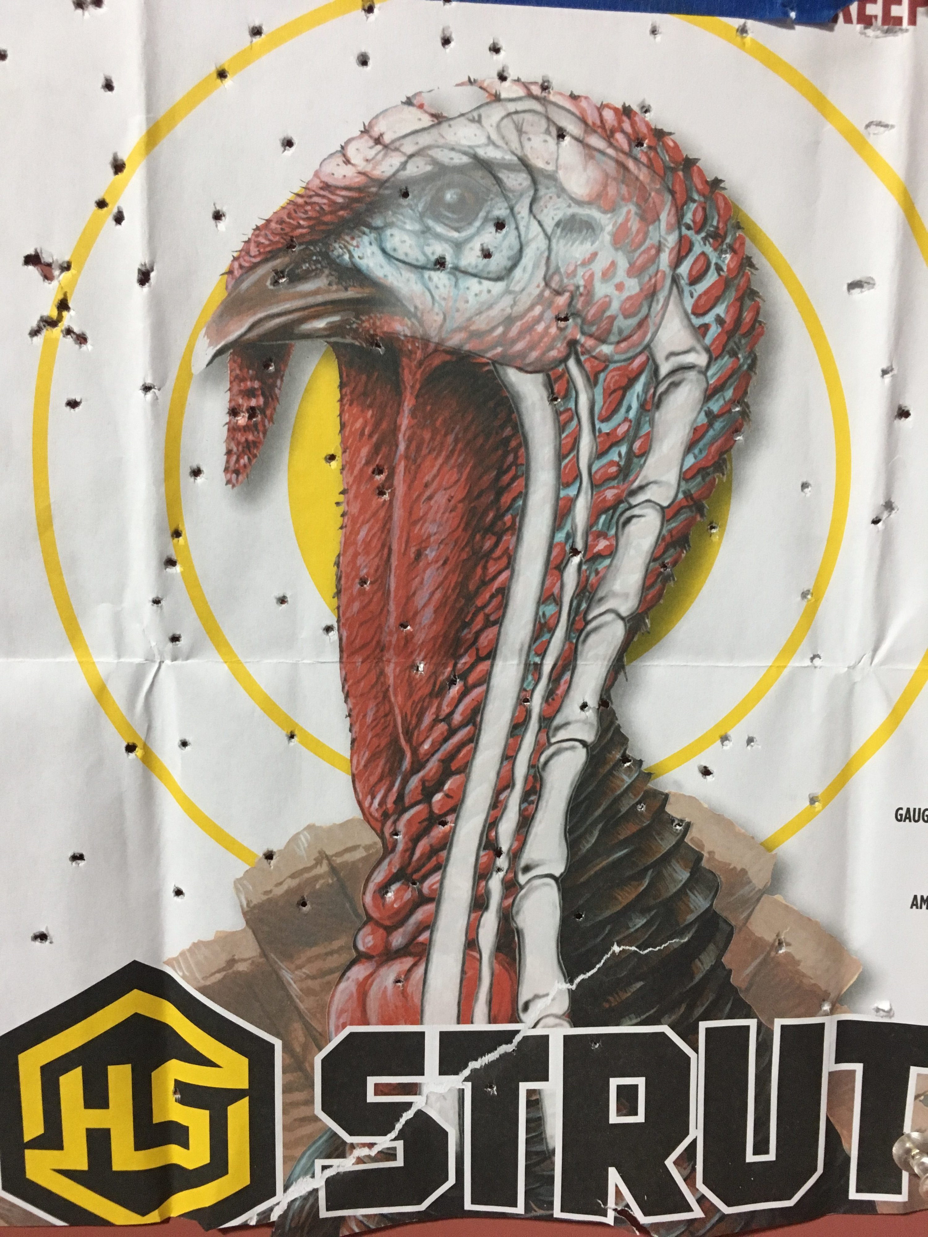 The A,B,C’s of Shotgun Chokes