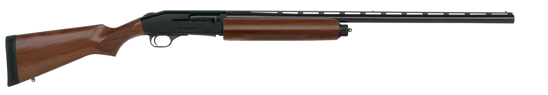 Rabbit Hunting with a Shotgun