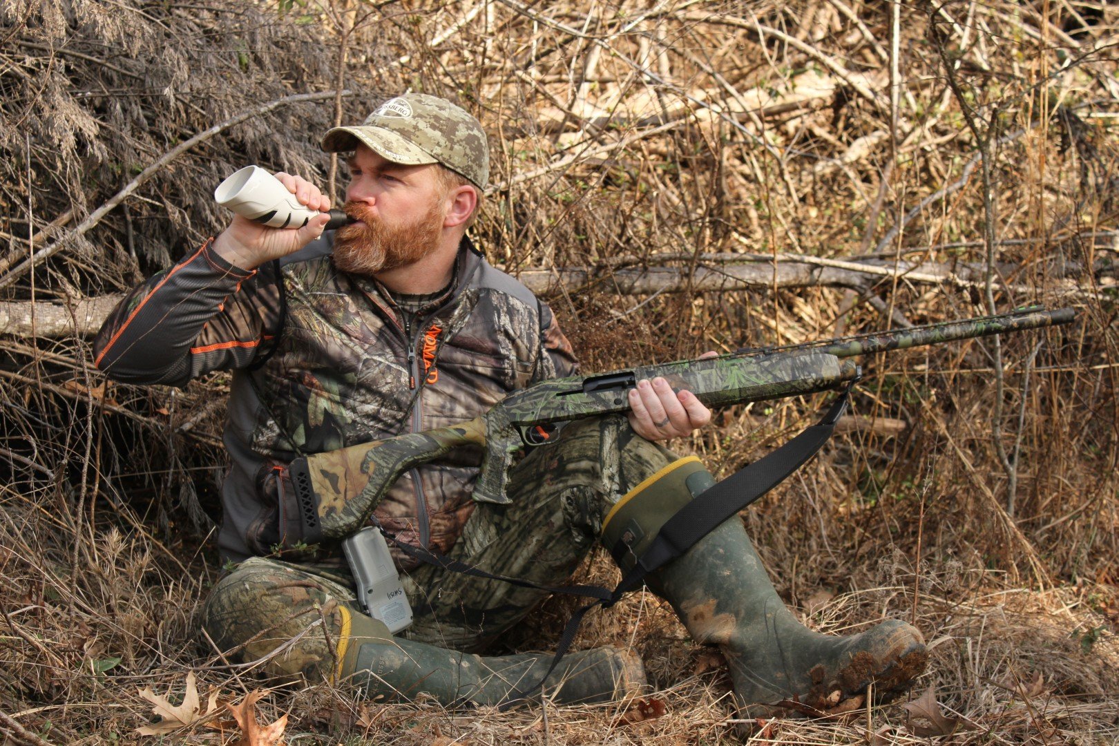Calling Coyotes During the Breeding Season