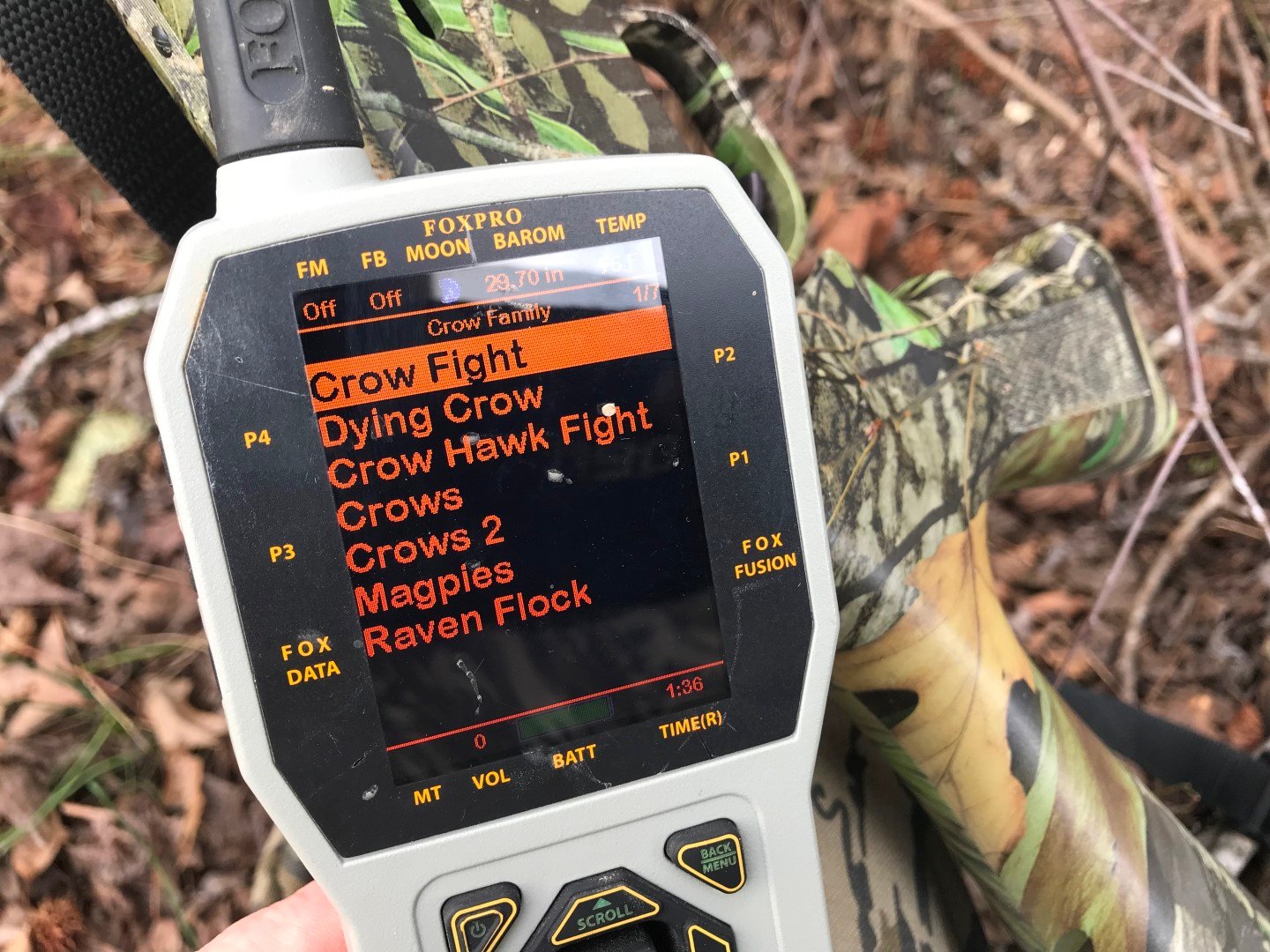 Crow Hunting: Don't Put the Shotgun Up Just Yet