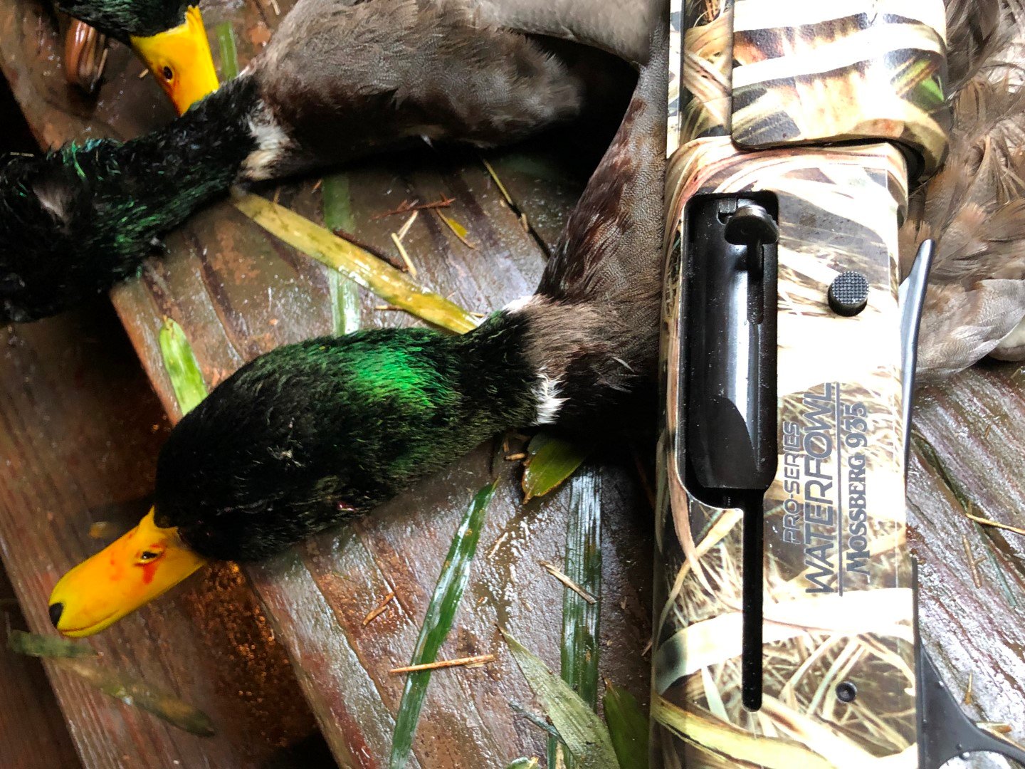 Mossberg Duck Hunting Camp at Reelfoot Lake