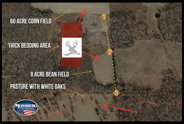 Not Your Typical Late Season Deer Hunting Strategy