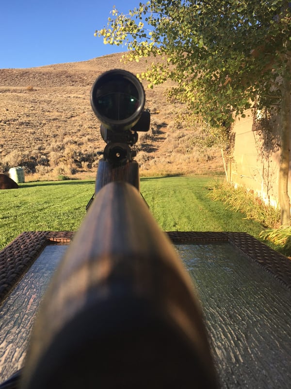 The How's and Why's of Bore Sighting A Bolt-Action Rifle