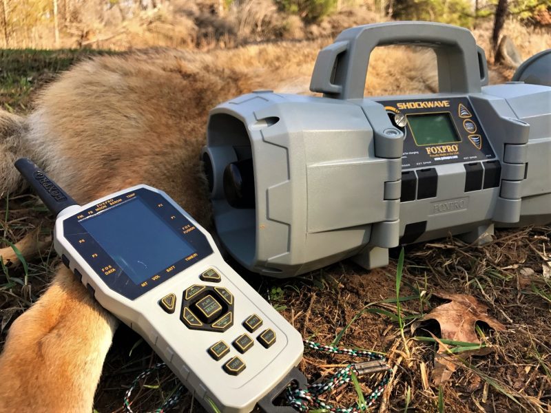 Hand Calls vs. Electronic Calls for Predator Hunting