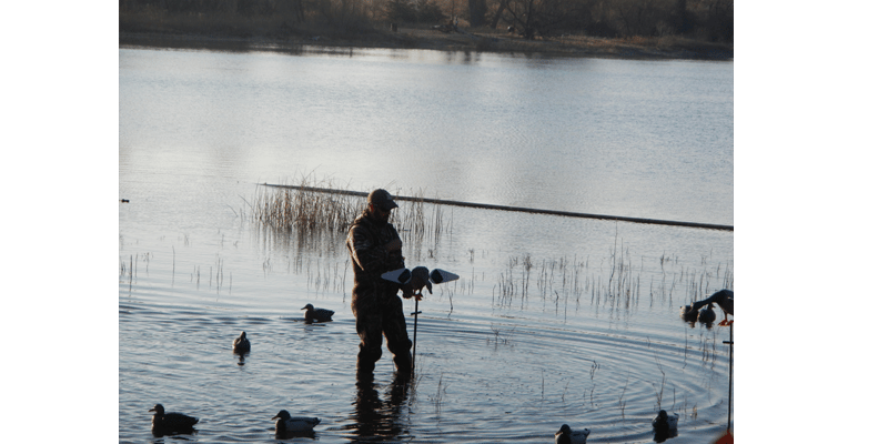 Top 5 Duck Hunting States for Mallard Maniacs