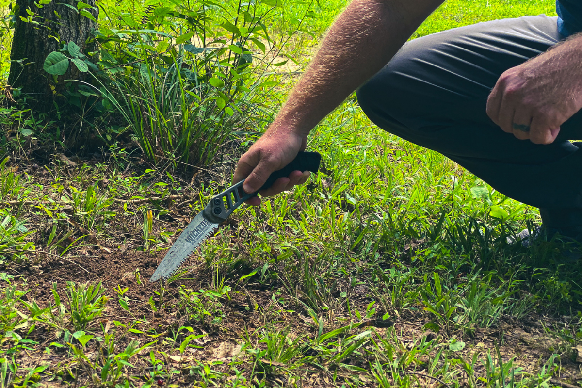 How to Make the Perfect Mock Scrape for Deer