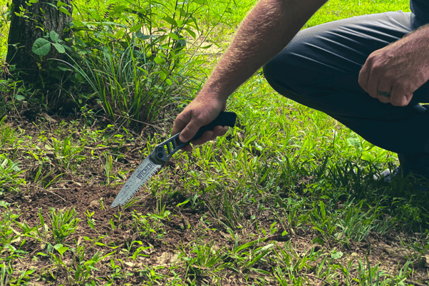 How to Make the Perfect Mock Scrape for Deer