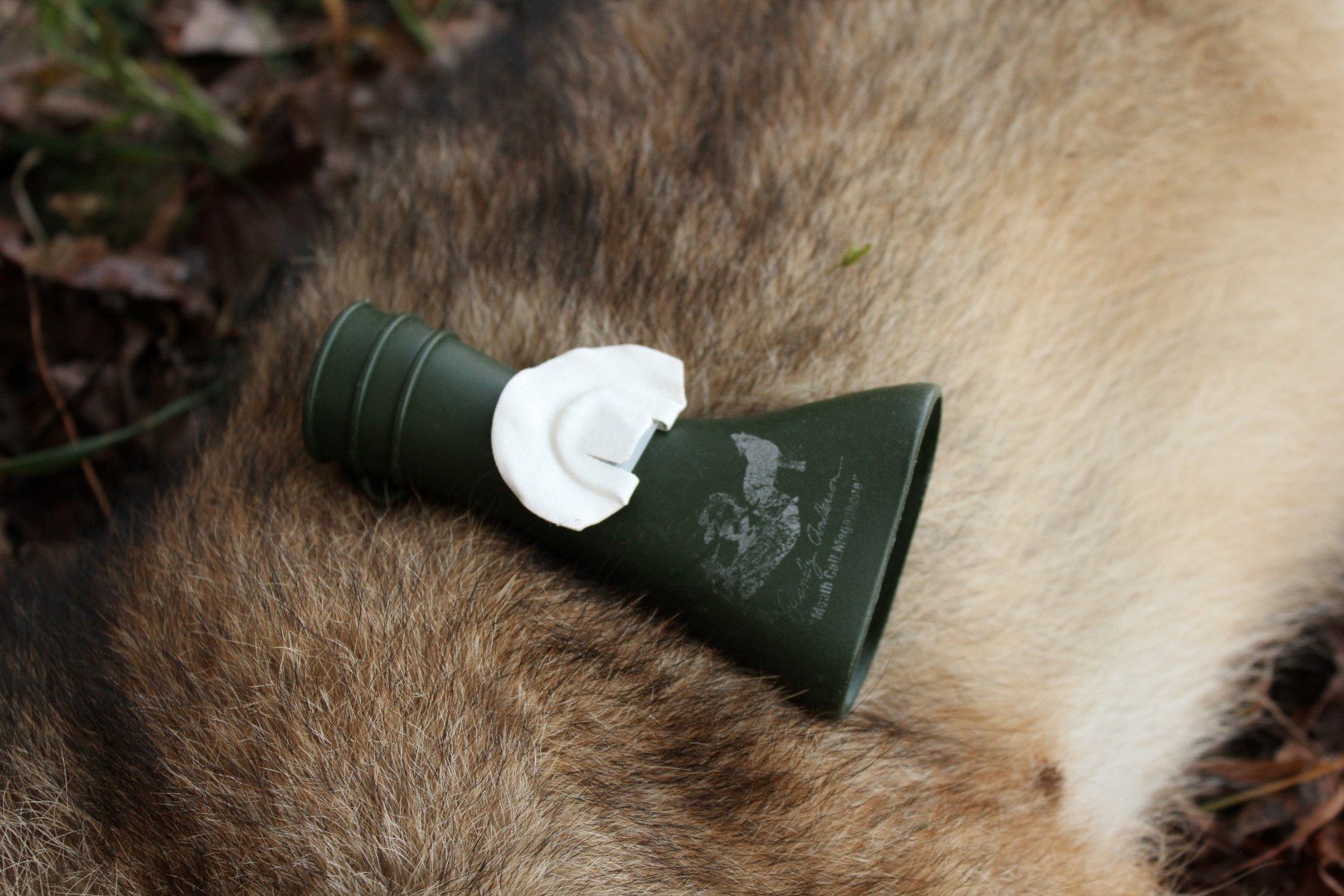 Calling Coyotes During the Breeding Season