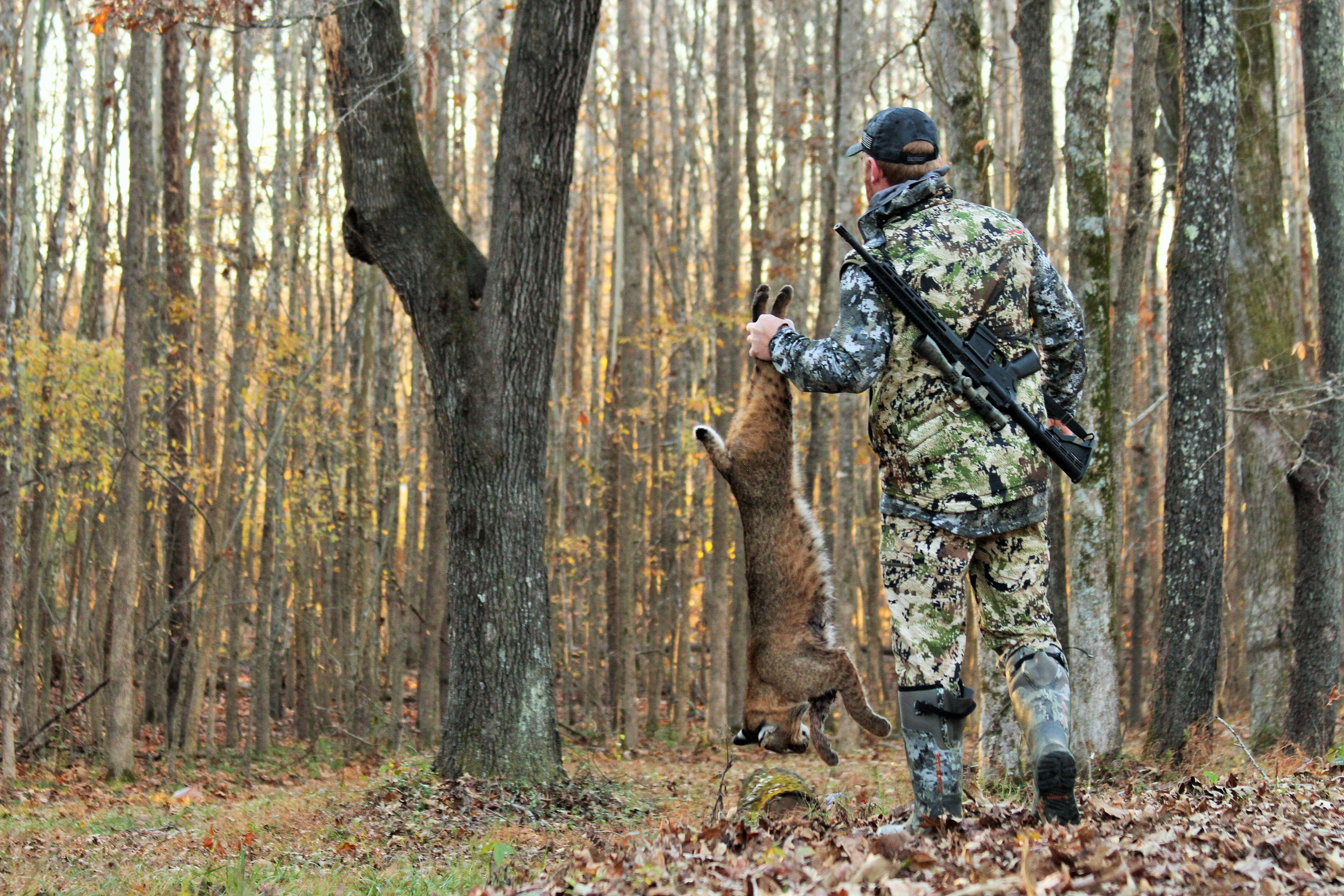 7 Deadly Sounds for Calling Predators
