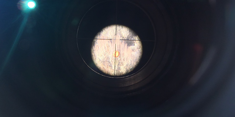 The Mossberg Journal