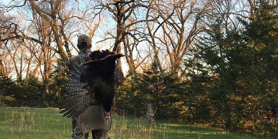 How to Roost Turkeys on a Morning Hunt