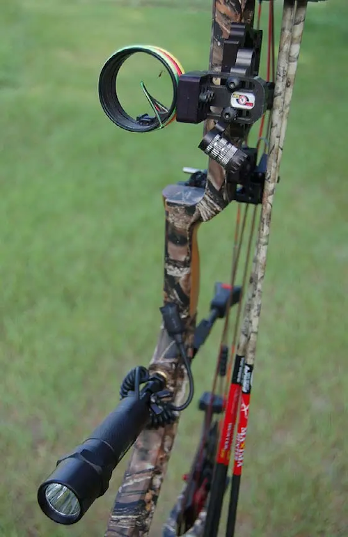 Hog Hunting at Night