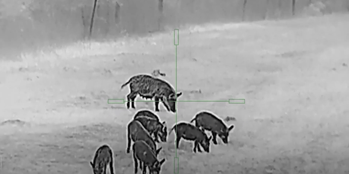 Mossberg® Adds 7mm PRC to Patriot™ Predator Bolt-Action Series