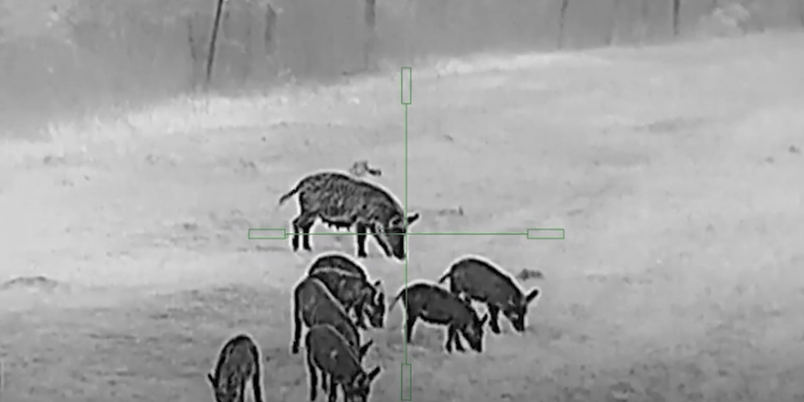 Mossberg® Adds 7mm PRC to Patriot™ Predator Bolt-Action Series