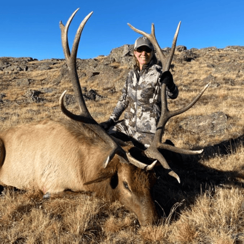 Garlic Butter Elk Steak Bites