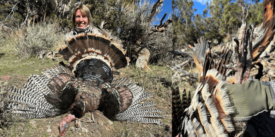 Opening Day Turkey
