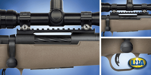 Predator Hunting and the Ultimate Predator Gun