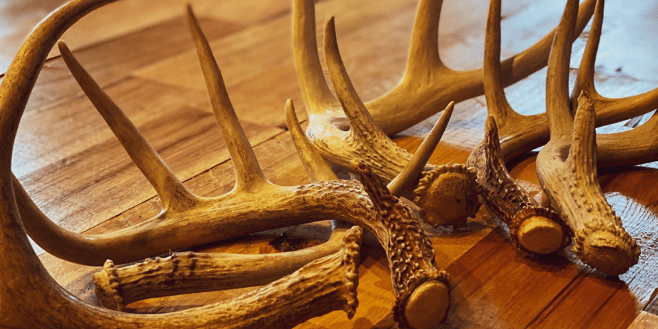 The Mossberg Journal | Brodie Swisher