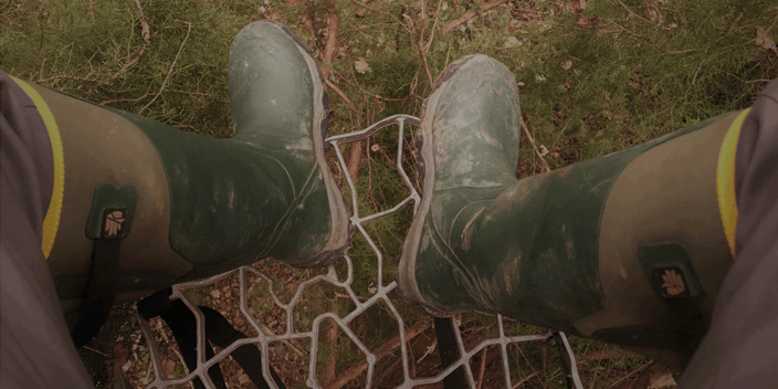 Quick Steps for Field Dressing a Turkey