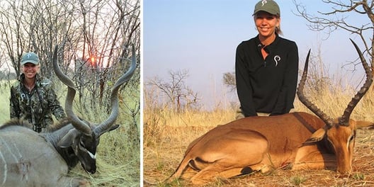 8 Great Cartridges for Bear Hunting